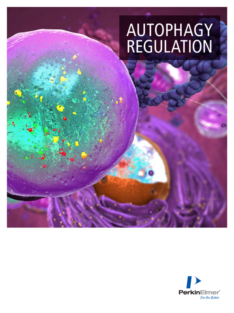 TN PerkinElmer Autophagy eBOOK | PDF | Autophagy | Biochemistry
