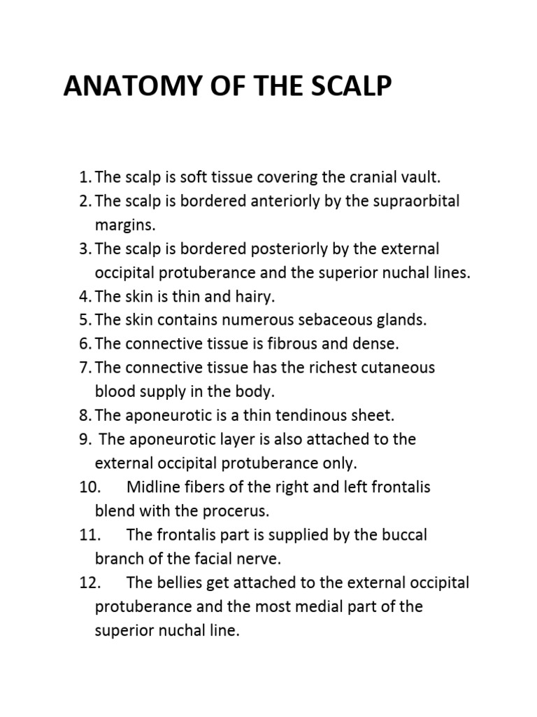 Anatomy of The Scalp! | PDF | Human Head And Neck | Human Anatomy