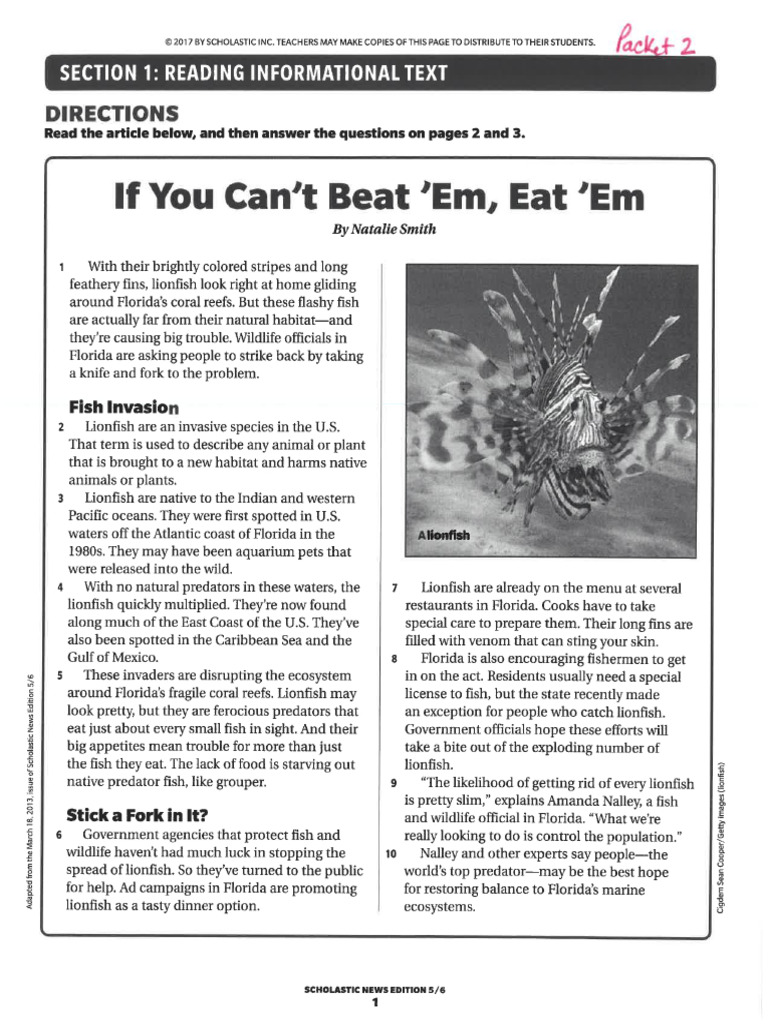 Drones Reading | PDF