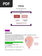Partograph Forms | PDF | Childbirth | Health Sciences