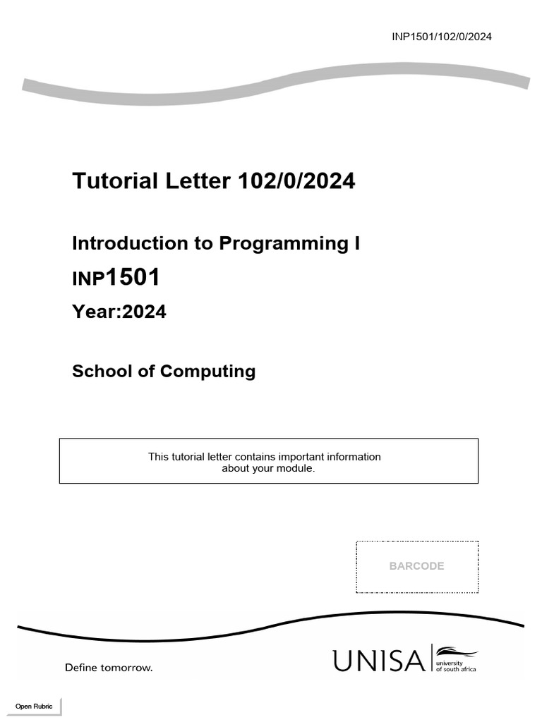 INP1501 - 102 - 0 - 2024 Assignment 2 | PDF | Parameter (Computer Programming) | Function ...
