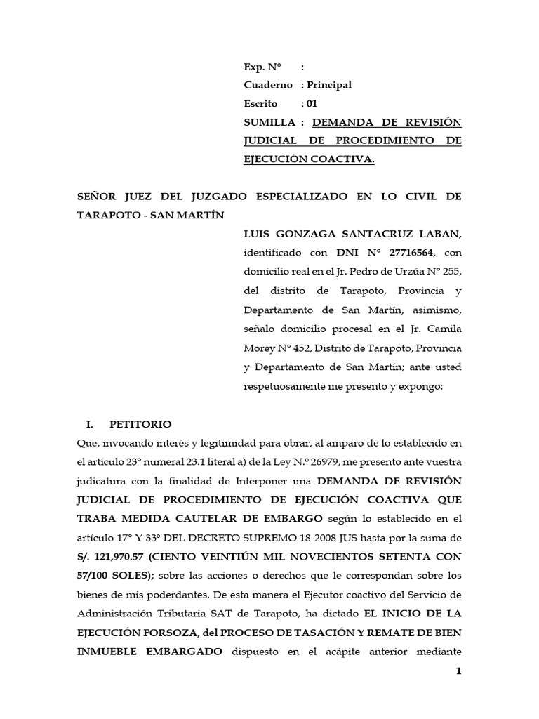 DEMANDA DE REVISIÓN - LUIS SANTA CRUZ Ok | PDF | Demanda judicial ...