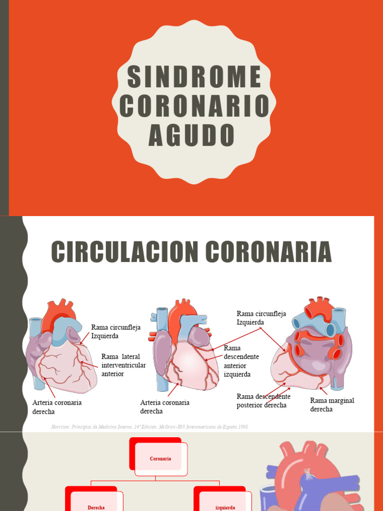 Angina Inestable | PDF | Enfermedades cardiovasculares | Medicina Interna