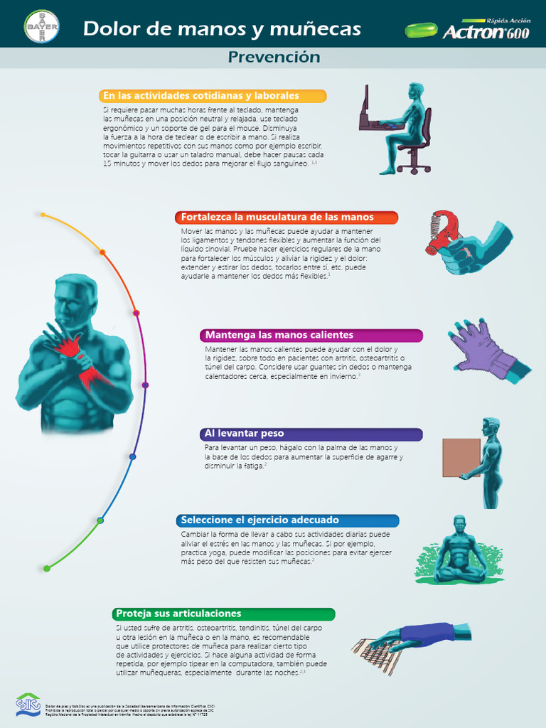 Prevención del Dolor en Manos y Muñecas | PDF | Sistema ...