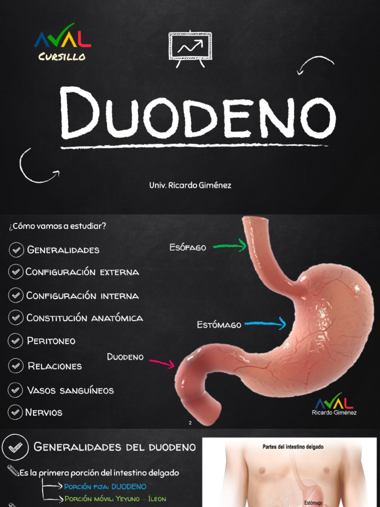 A61 - Duodeno | PDF