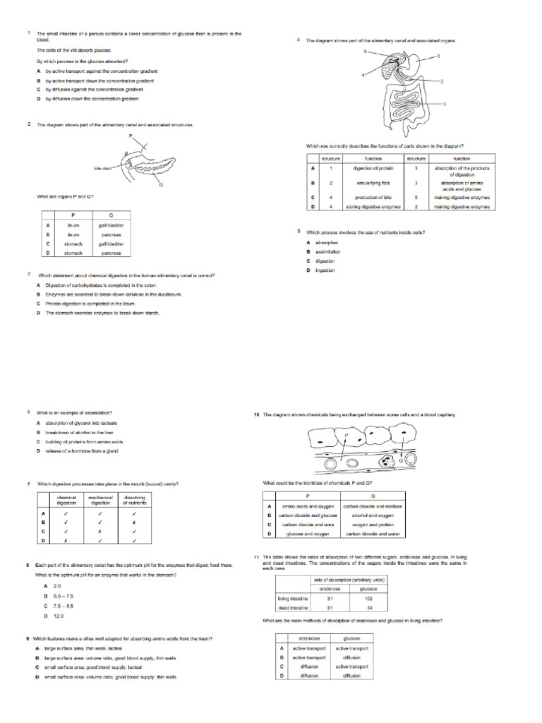 Biology Digestive System Exercise MC | PDF