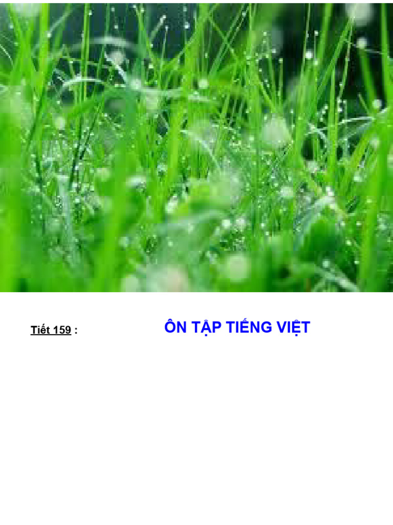 On Tap Phan Tieng Viet | PDF