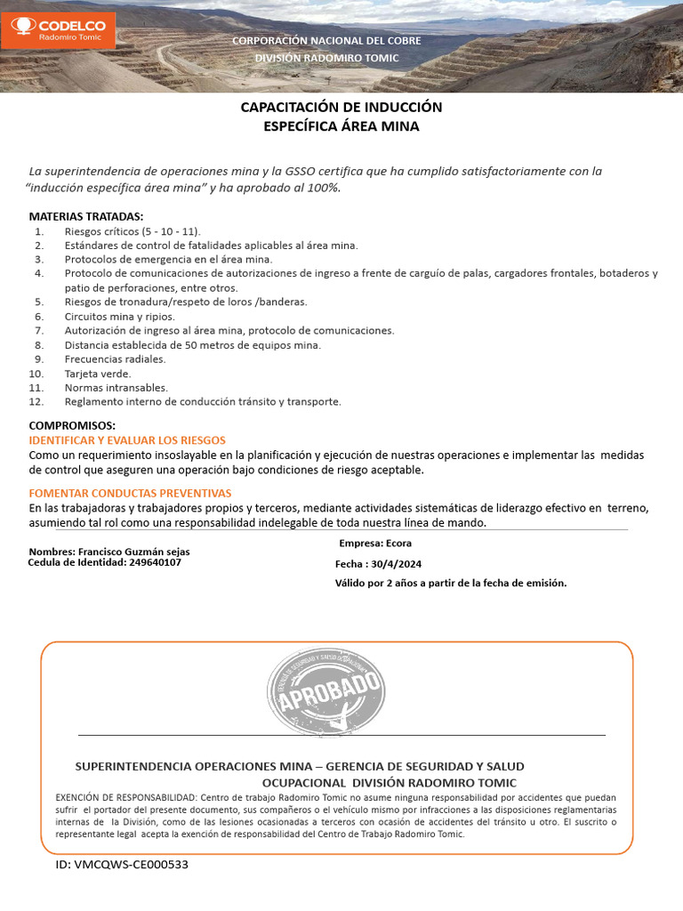 Induccin Mina-1 | PDF