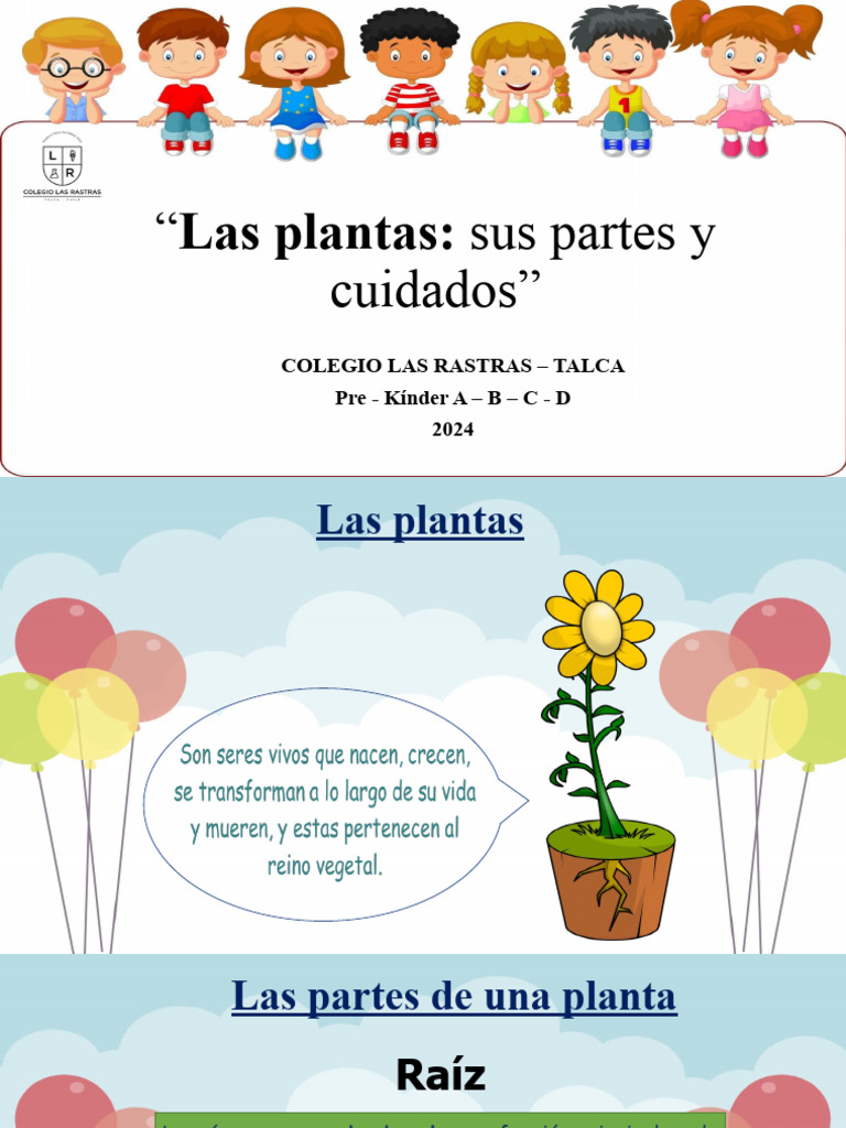 Las Plantas, Sus Partes y Ciclo de Vida + Actividad | PDF | Plantas | Hoja