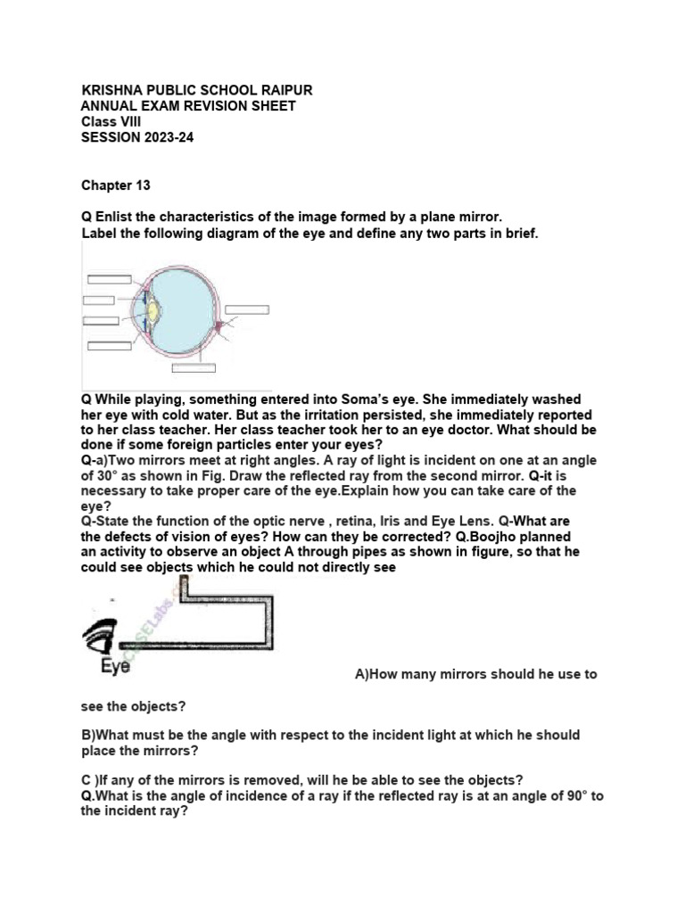 Annual Science Rev Worksheet | PDF | Eye | Force