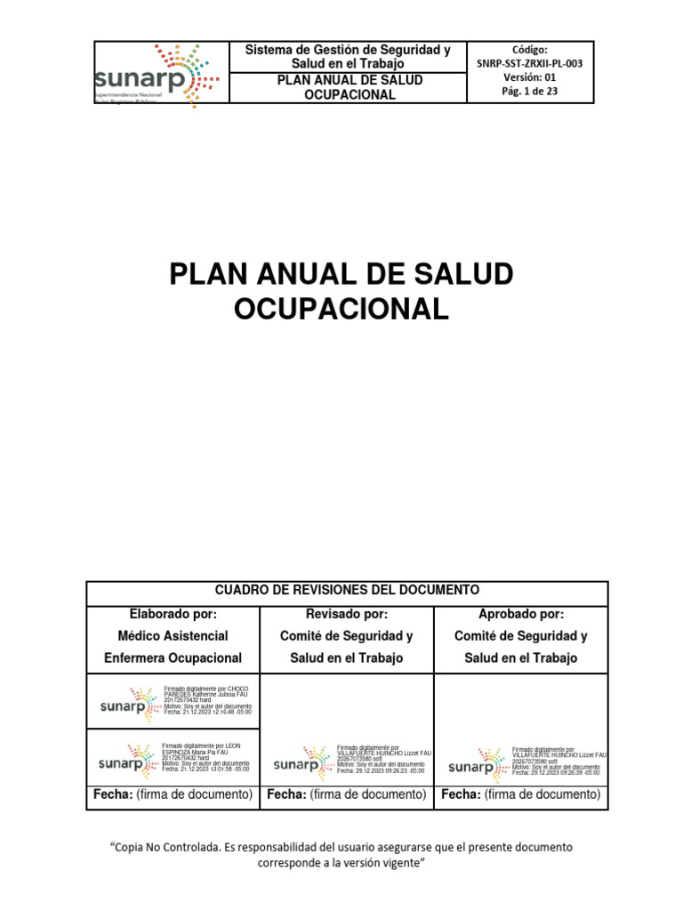 Plan Anual de Salud Ocupacional 2024 | Descargar gratis PDF | Seguridad y salud ocupacional | La ...