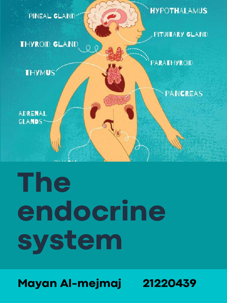 The Endocrine Assessment | PDF | Endocrine System | Hormone