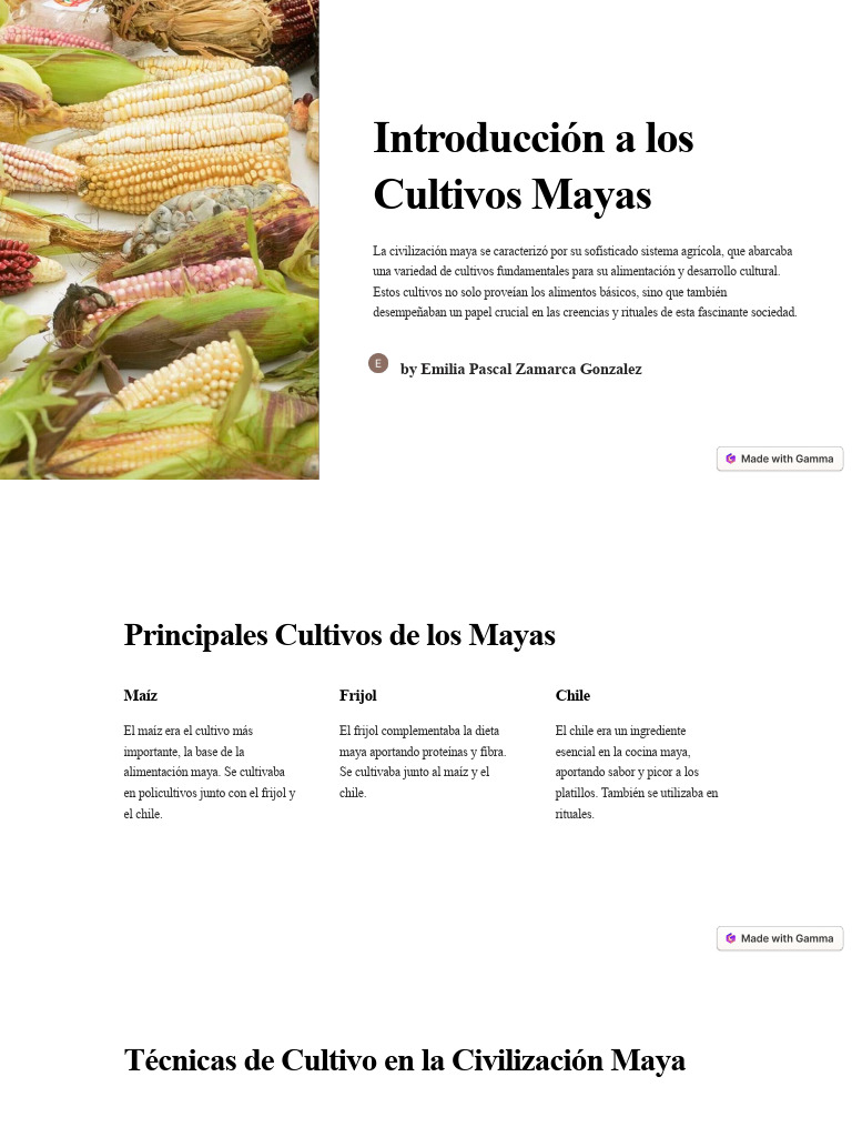 Introduccion A Los Cultivos Mayas | Descargar gratis PDF | Maíz ...