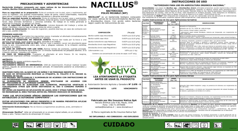 Nacillus FT | PDF | Bacilo | Las bacterias