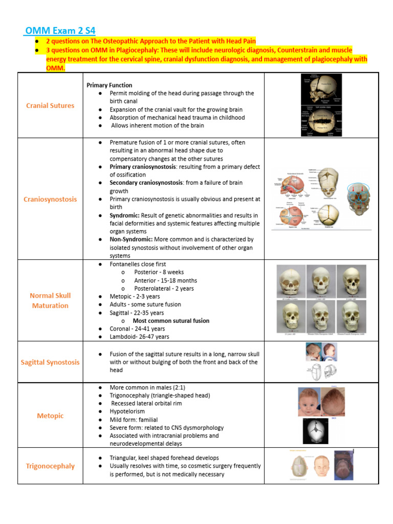OMM Exam 2 Study Guide | PDF | Anatomy | Human Anatomy