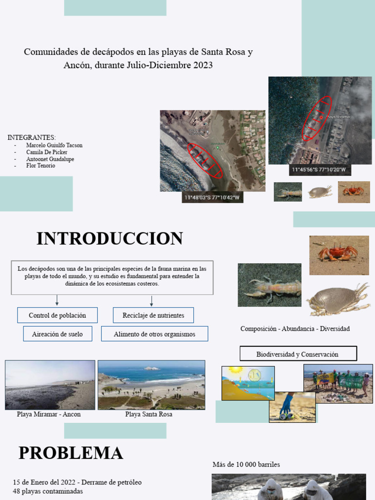 Trabajo de Investigacion - Ecomar | PDF | Biodiversidad | Zona litoral