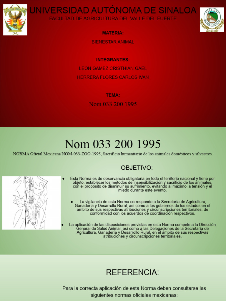 Nom 033 200 1995 NORMA Oficial Mexicana NOM-033-ZOO-1995, Sacrificio ...