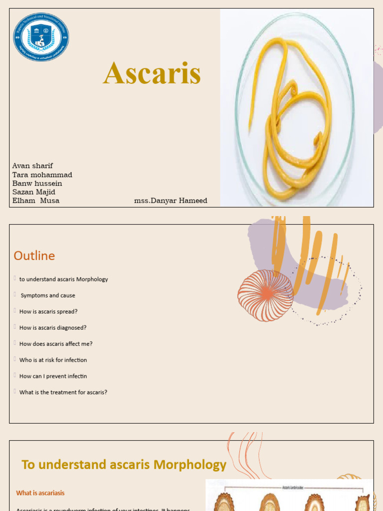 Mss Danyar | PDF | Medical Specialties | Diseases And Disorders