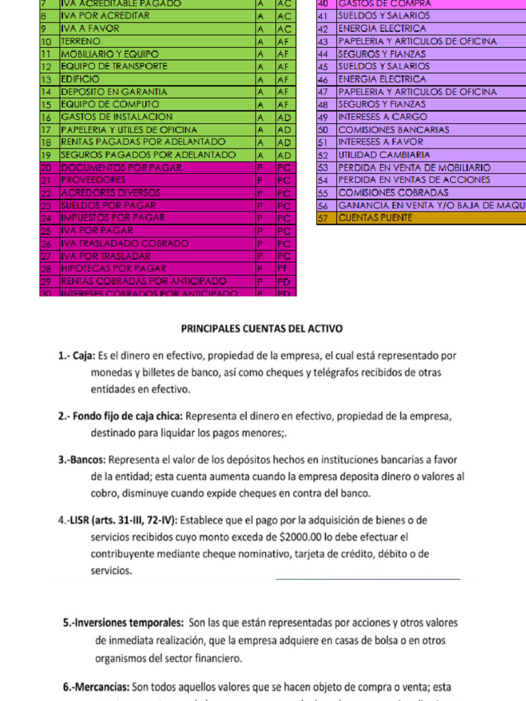 Principales Cuentas de Activo y Pasivo Explicadas | PDF
