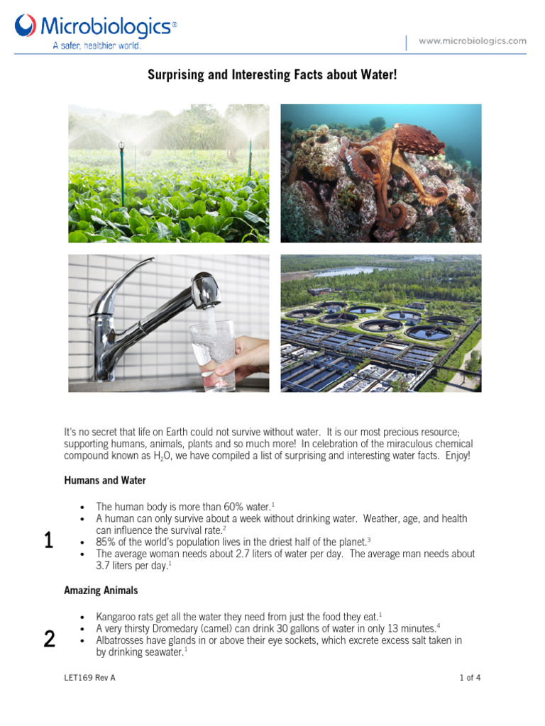 Fascinating Water Facts and Insights | PDF | Water Pollution | Water