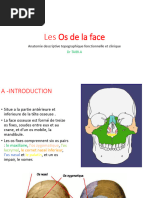 Anatomie du Labyrinthe Ethmoïdal | PDF | Système squelettique | Tête et ...
