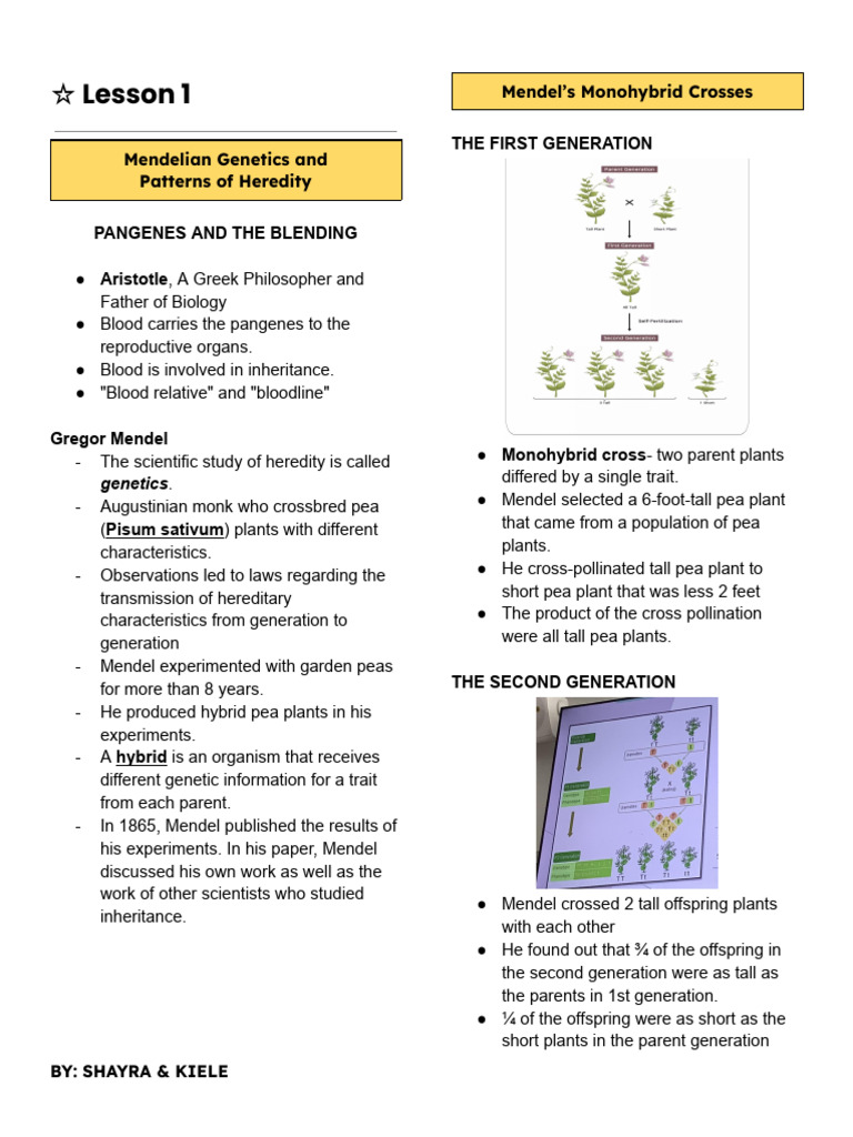 Gen Bio | PDF | Rna | Dominance (Genetics)