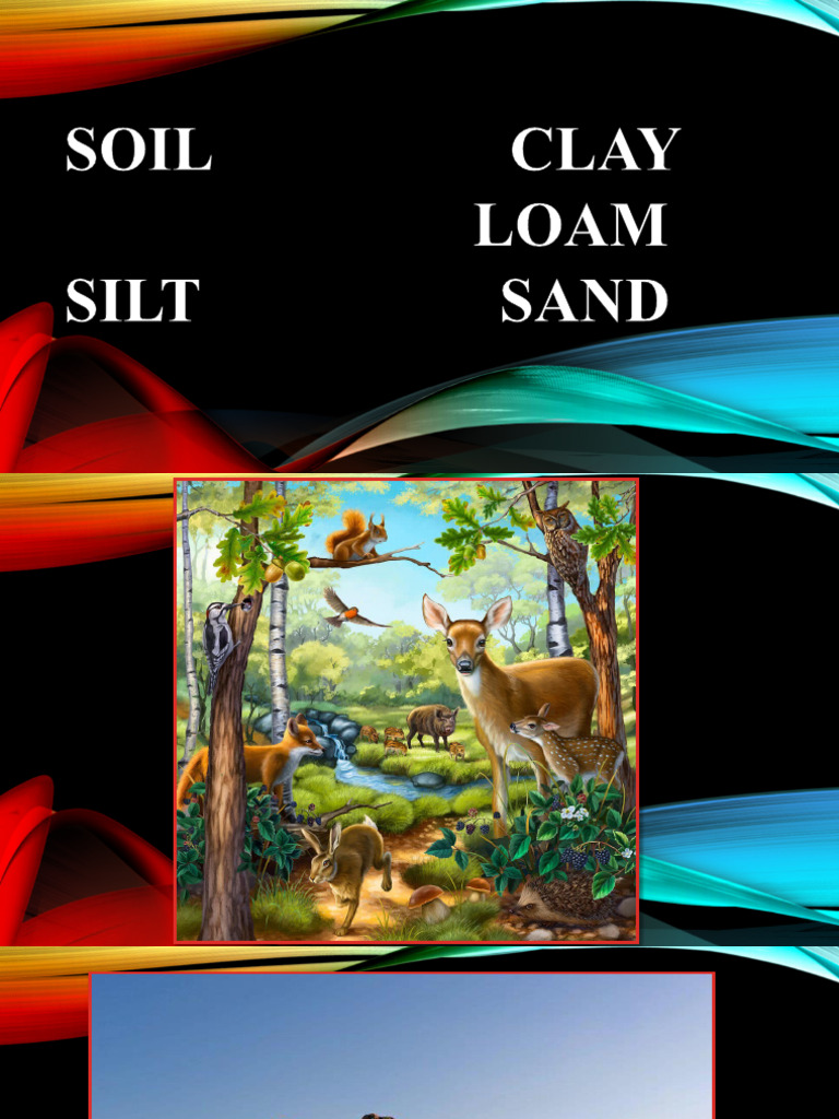 Presentation COT 2 GRADE 4 | Download Free PDF | Soil | Clay