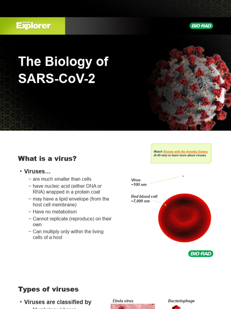 Biology of SARS CoV 2 | PDF | Virus | Cell (Biology)