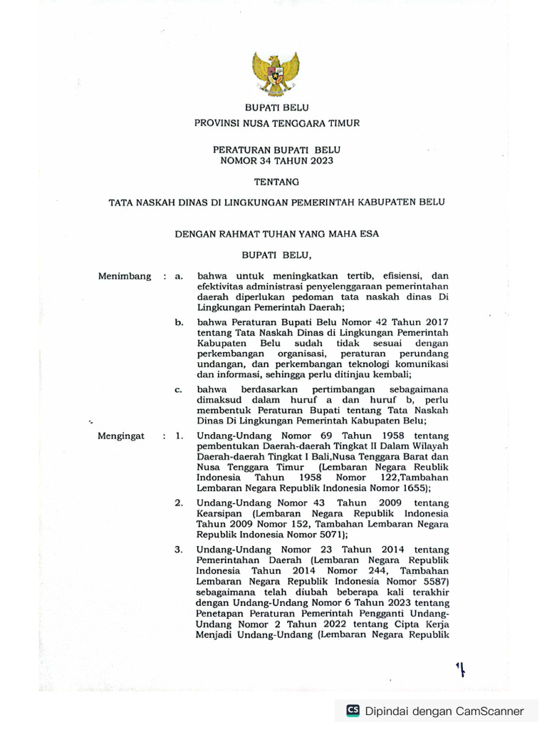 Dinas Di Lingkungan Pemerintah Kabupaten Belu | PDF