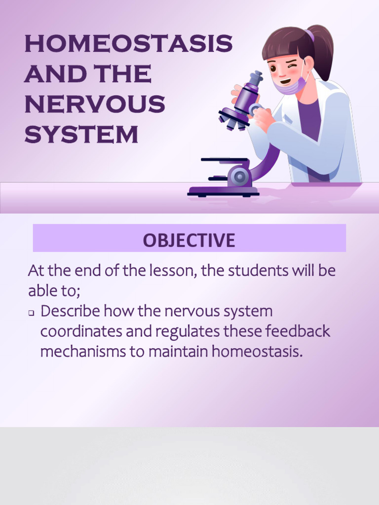 Homeostasis and The Nervous System | PDF | Homeostasis | Adrenal Gland