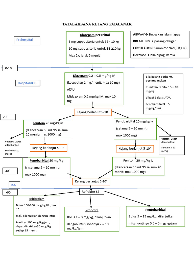 Tatalaksana Kejang Pada Anak | PDF