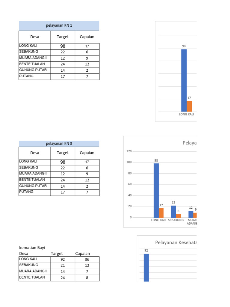 Laporan Capaian Program 2024 | PDF