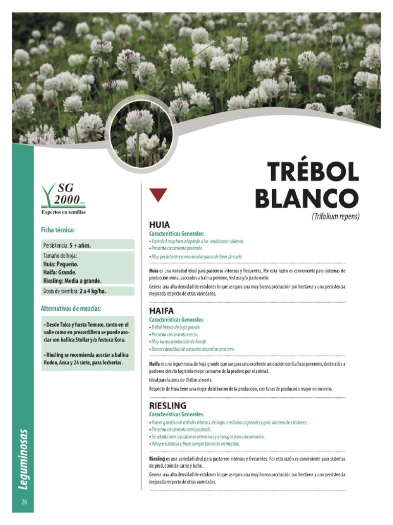 Ficha Tecnica Trebol Blanco | PDF