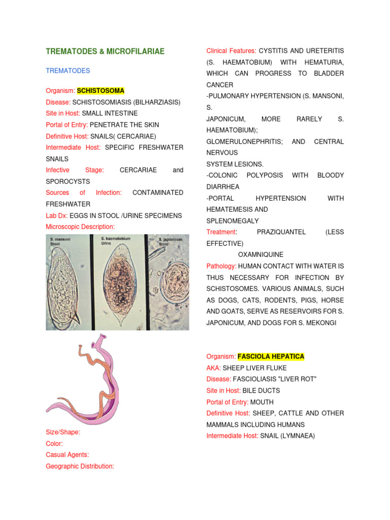 Trematodes and Microfilariae Overview | PDF | Clinical Medicine ...