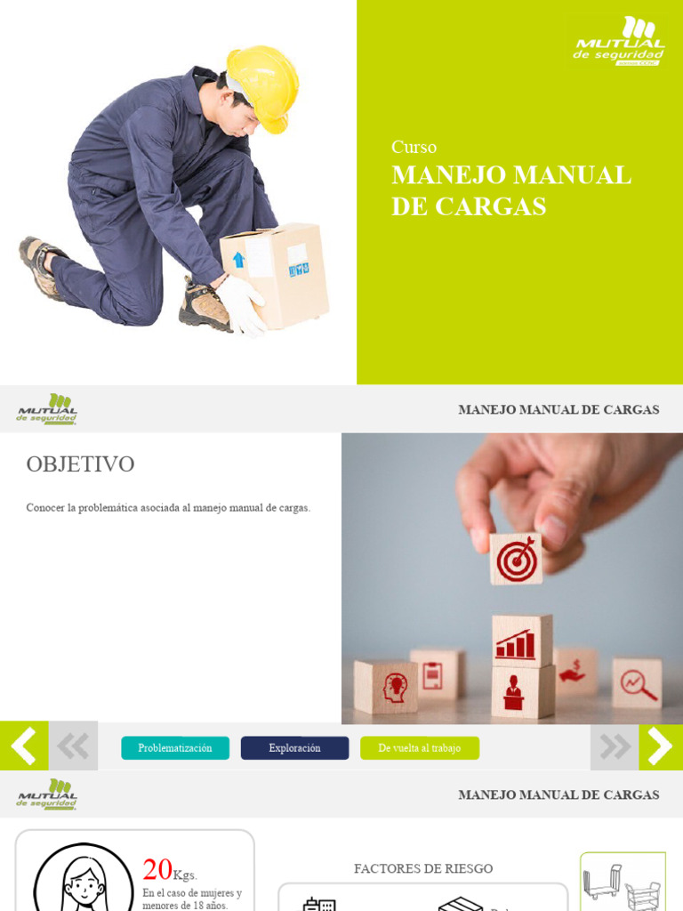 Manejo Manual de Carga | PDF | La columna vertebral