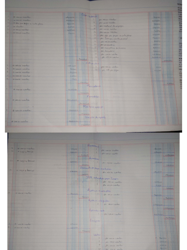 Libro Mayor Del Almac-N El Gato Viudo | PDF