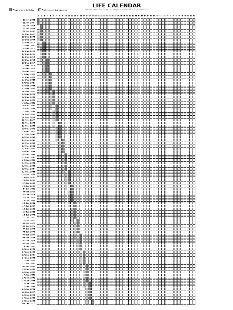 My Life Calendar | PDF