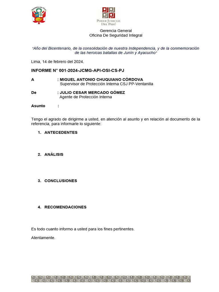 Modelo de Informe 2024 | PDF