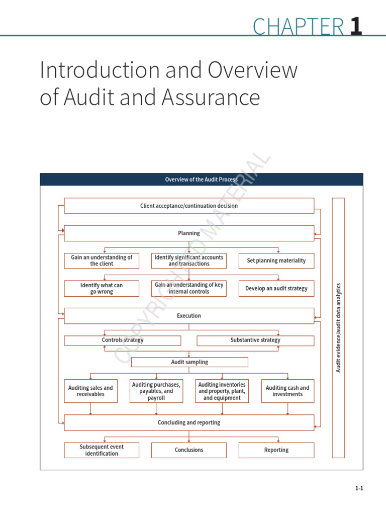 Audit Notes | PDF | Financial Audit | Audit