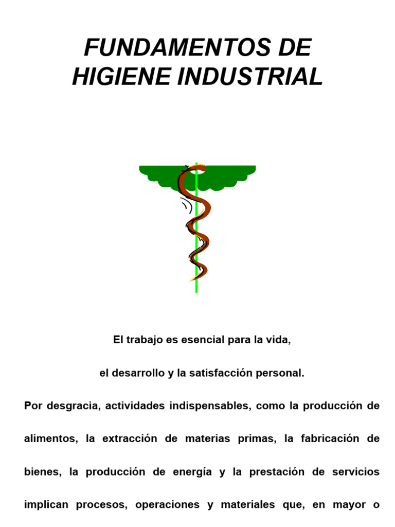Fundamentos de Higiene Industrial y Salud | PDF | Seguridad y salud ...