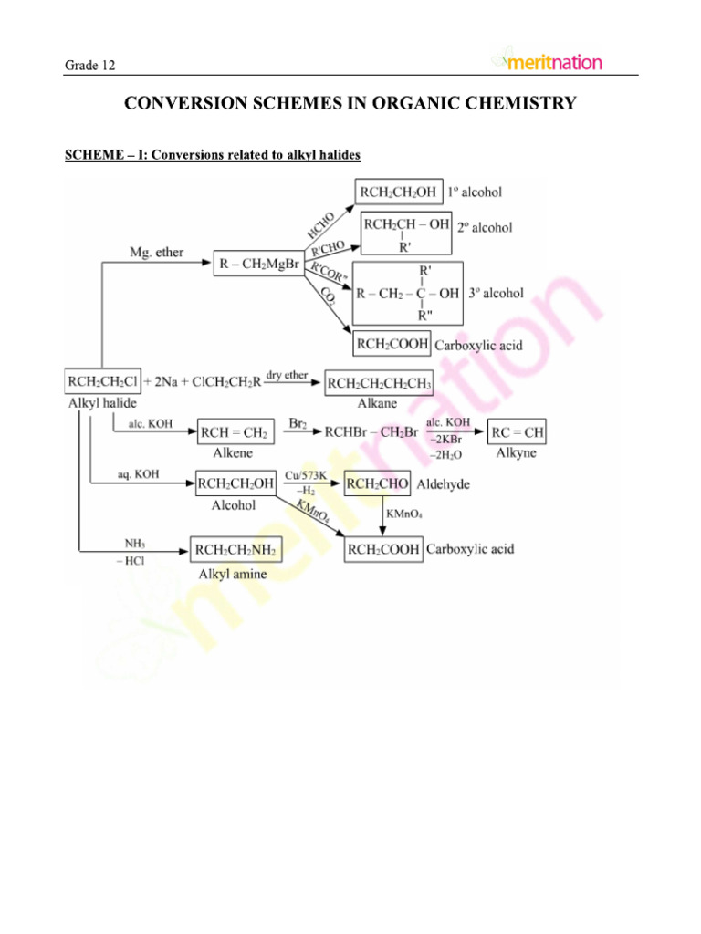 Org Chem | PDF