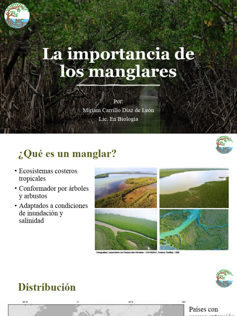 Importancia y Conservación de Manglares | PDF | Mangle | Ciencia ...