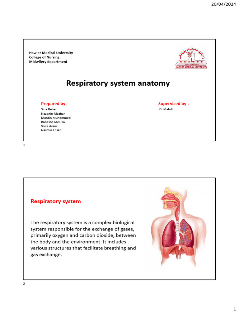 Microsoft PowerPoint - Respiratory - System - Anatomy (1) - Read-Only ...