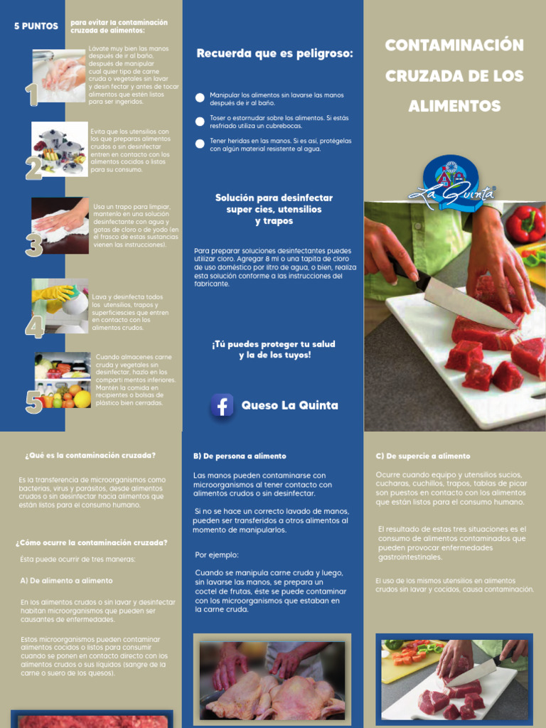 Triptico Contaminación | PDF | Alimentos | Carne