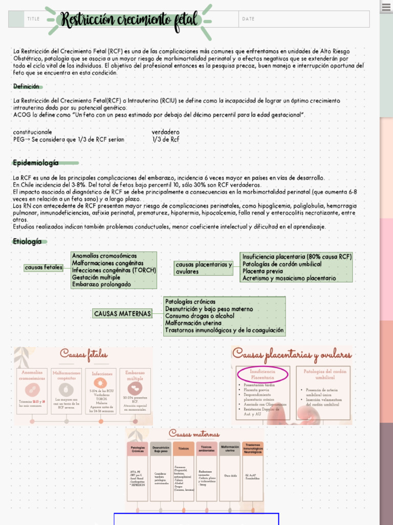 Documento Extenso y Sin Contenido | PDF
