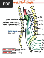 The Burke Lateropulsion Scale and Addressing Pusher Syndrome Post-Cva 1 ...