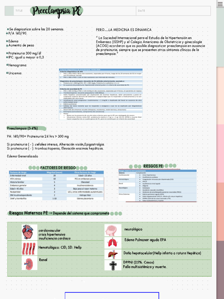 Documento de Texto Extenso | PDF
