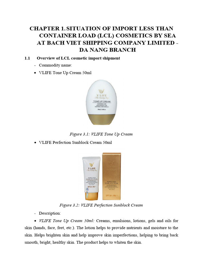 Chapter 1. Situation of Import Less Than Container Load (LCL) Cosmetics by Sea at Bach Viet ...