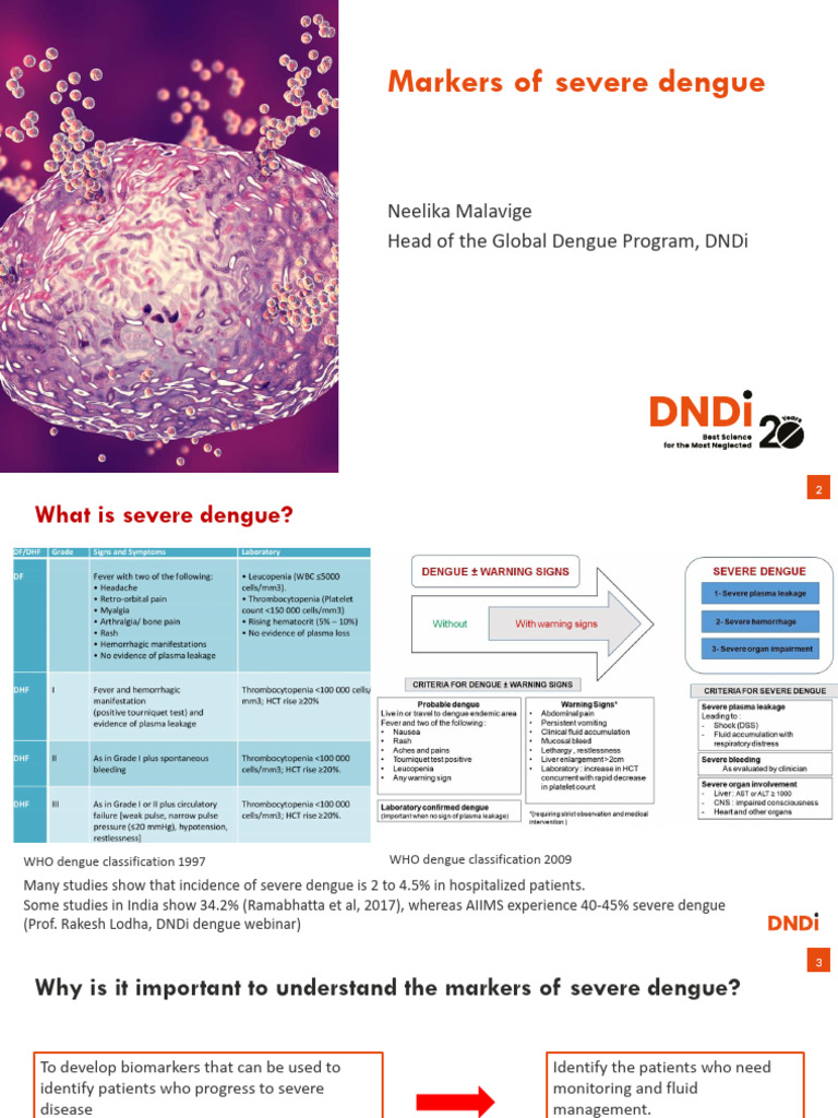Markers of Severe Dengue | PDF | Inflammation | Cytokine