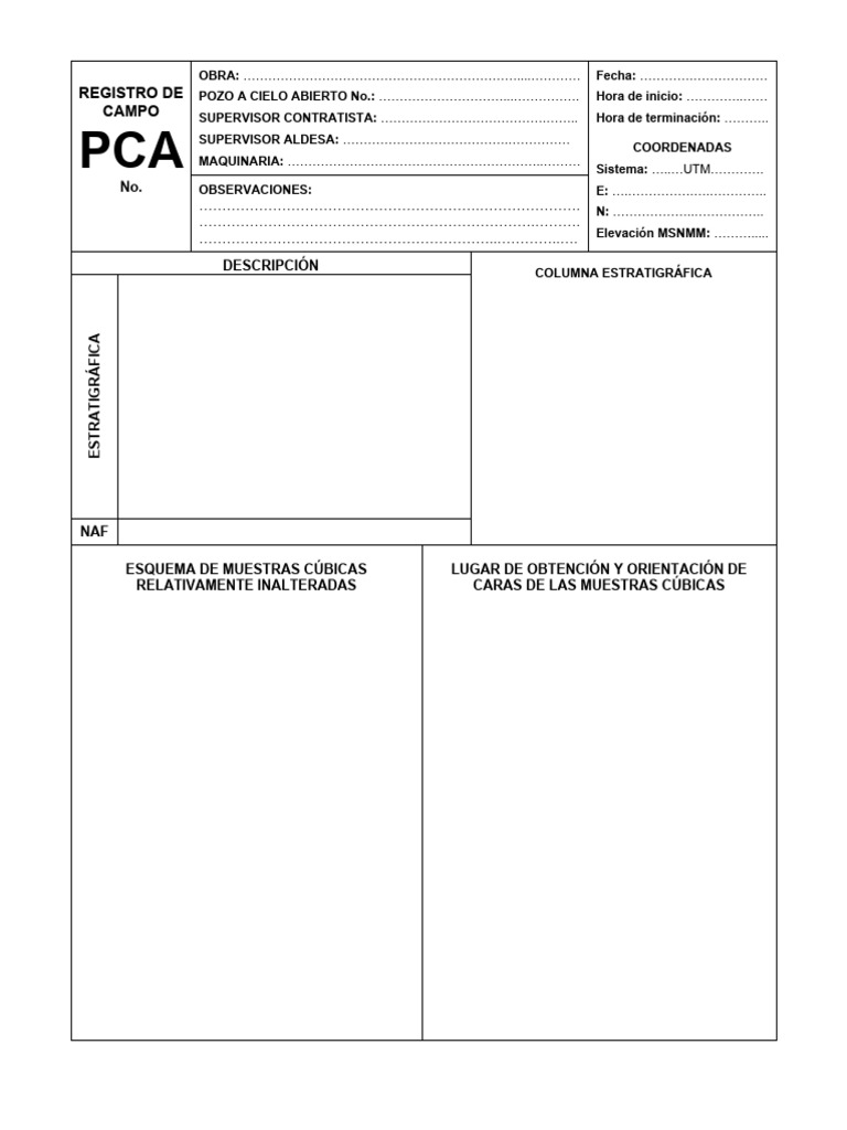 Formato para Registro de Campo de PCA | PDF